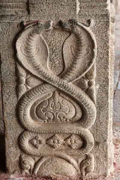 Serpent Science – The Eccentric Symbolism of Snakes – Part 1 - Varun ...
